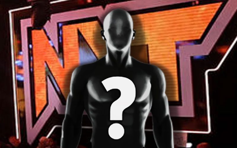 New WWE Possible Signee Unveiled - Wrestling News Plus